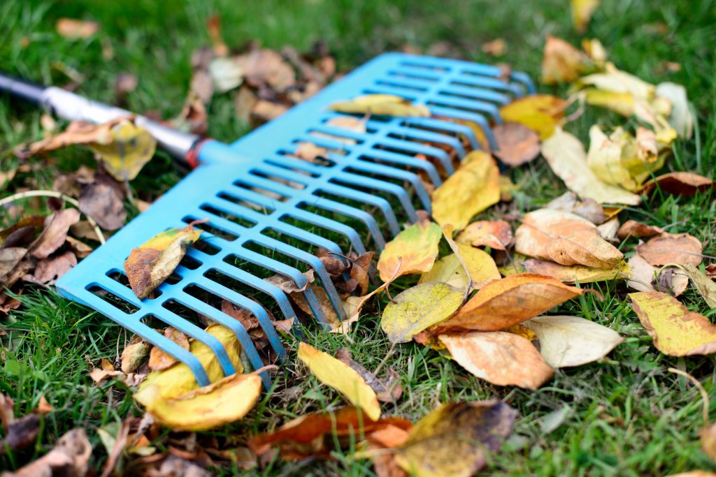 6 Effective Ways To Clean Up Your Yard After Winter