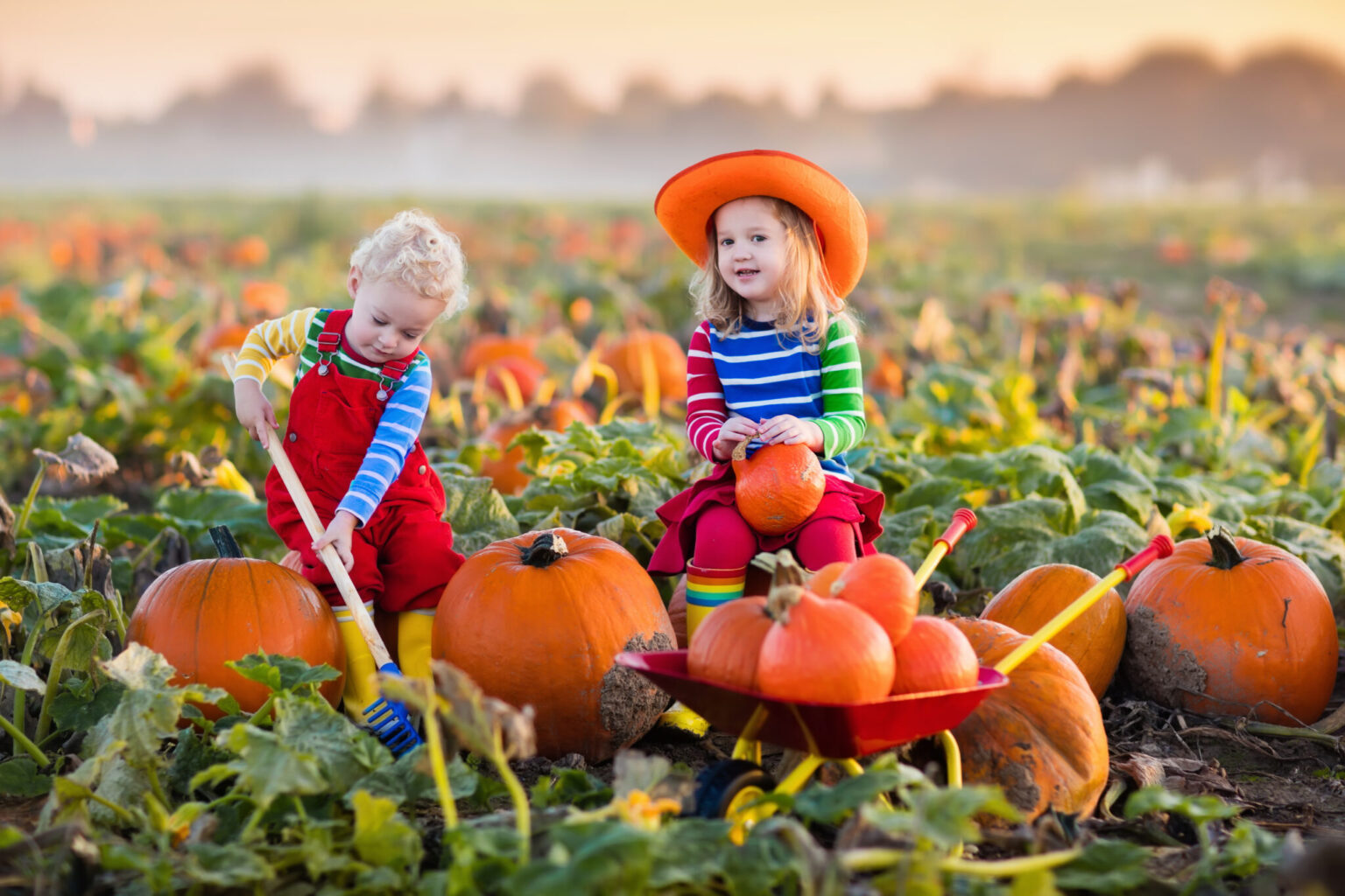 Family-Friendly Fall Activities (Part 1) - Columbia Builders