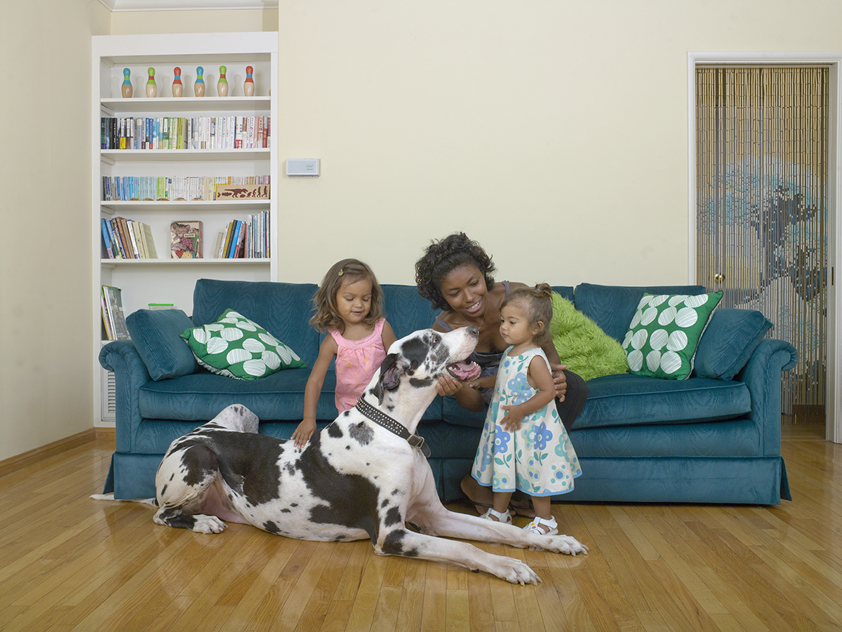 Designing a Custom Home with Pets in Mind - Columbia Builders